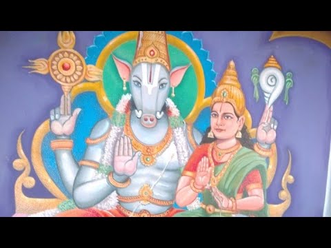 sree adi varaha swami temple 🙏 full video ...