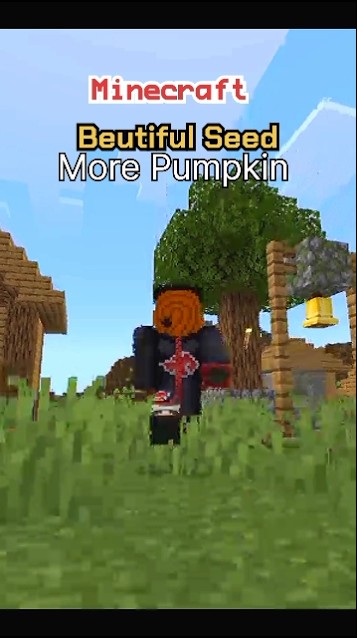 Minecraft Beutiful Seed More Pumpkin java and bedrock #minecraft # ...