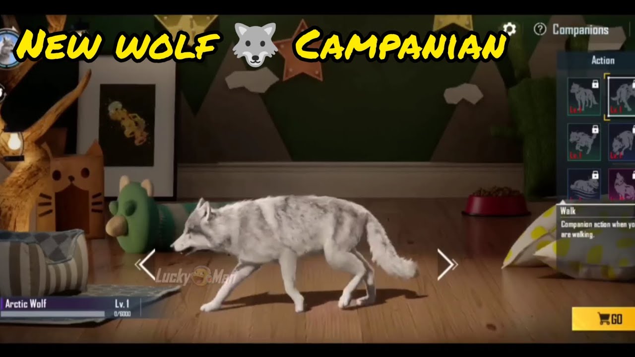 PUBG Mobile new wolf Campanian|PUBG mobile - YouTube