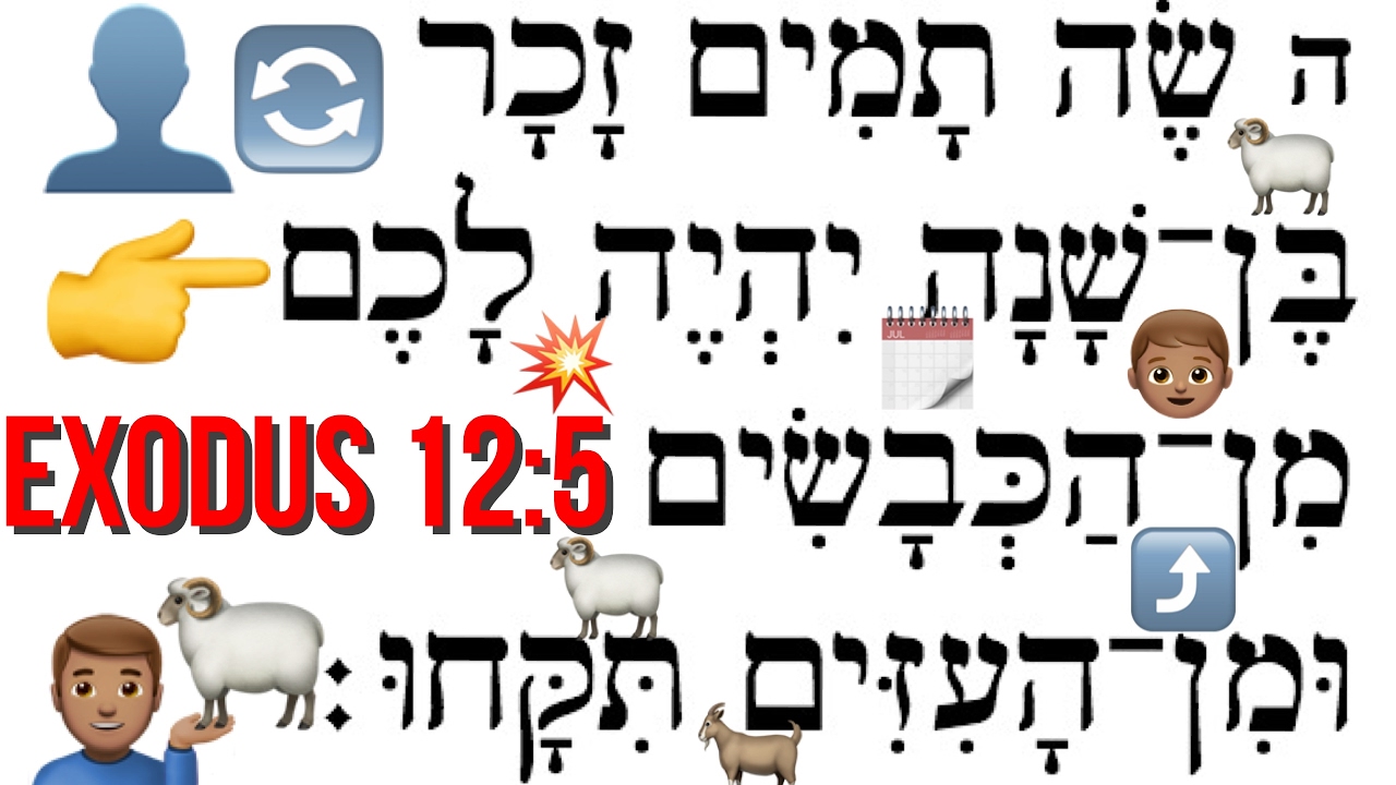 Exodus 12:5 ️ Have fun learning Hebrew with emojis! Torah Portion Bo ️ ...