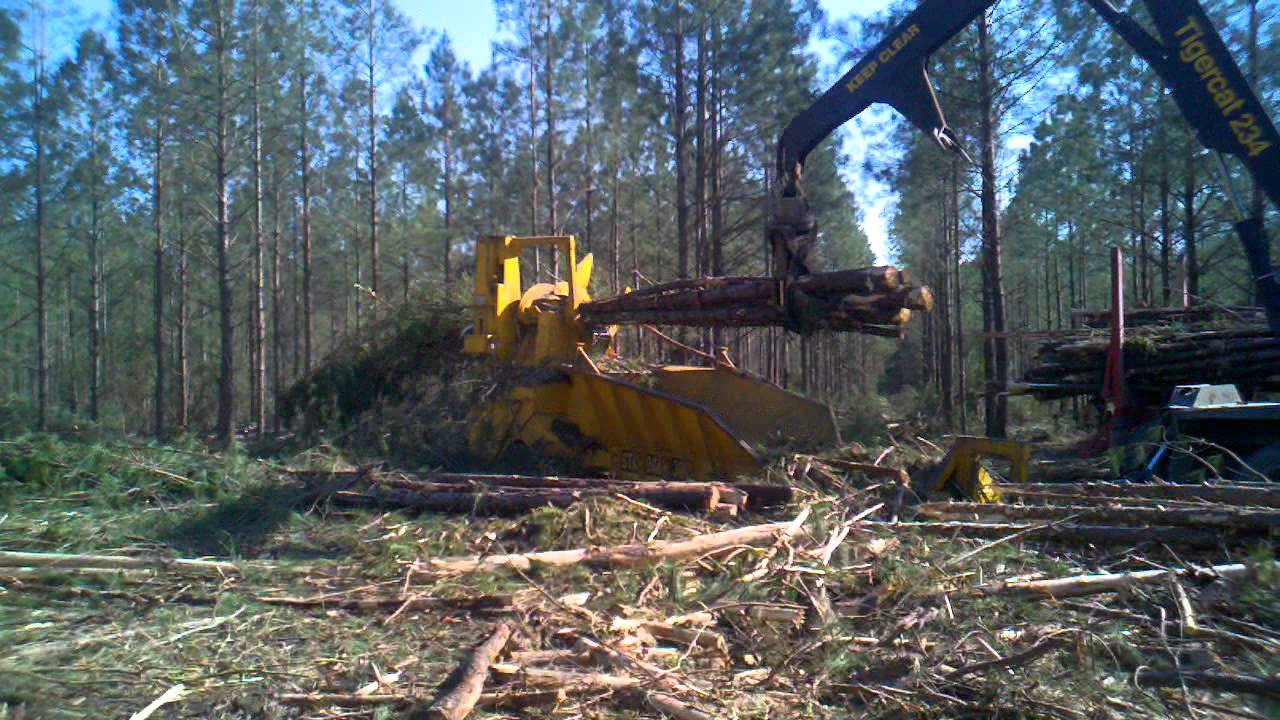 CSI 363 delimber/ flail combo - YouTube