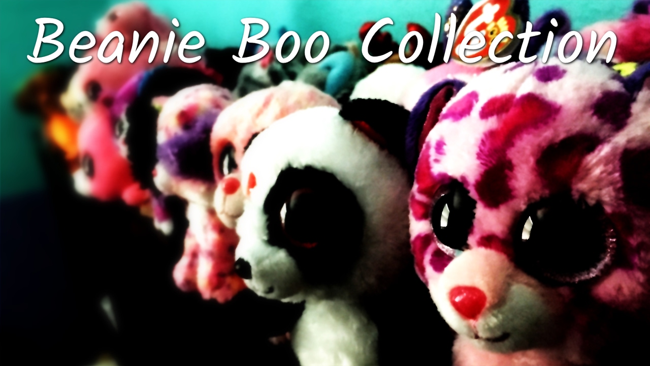 Beanie Boo Collection! - YouTube