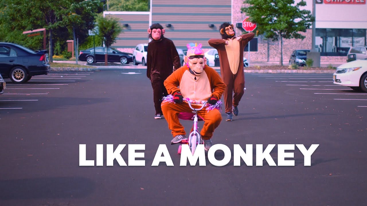 Like A Monkey - Fake Humans (Official Music Video) - YouTube