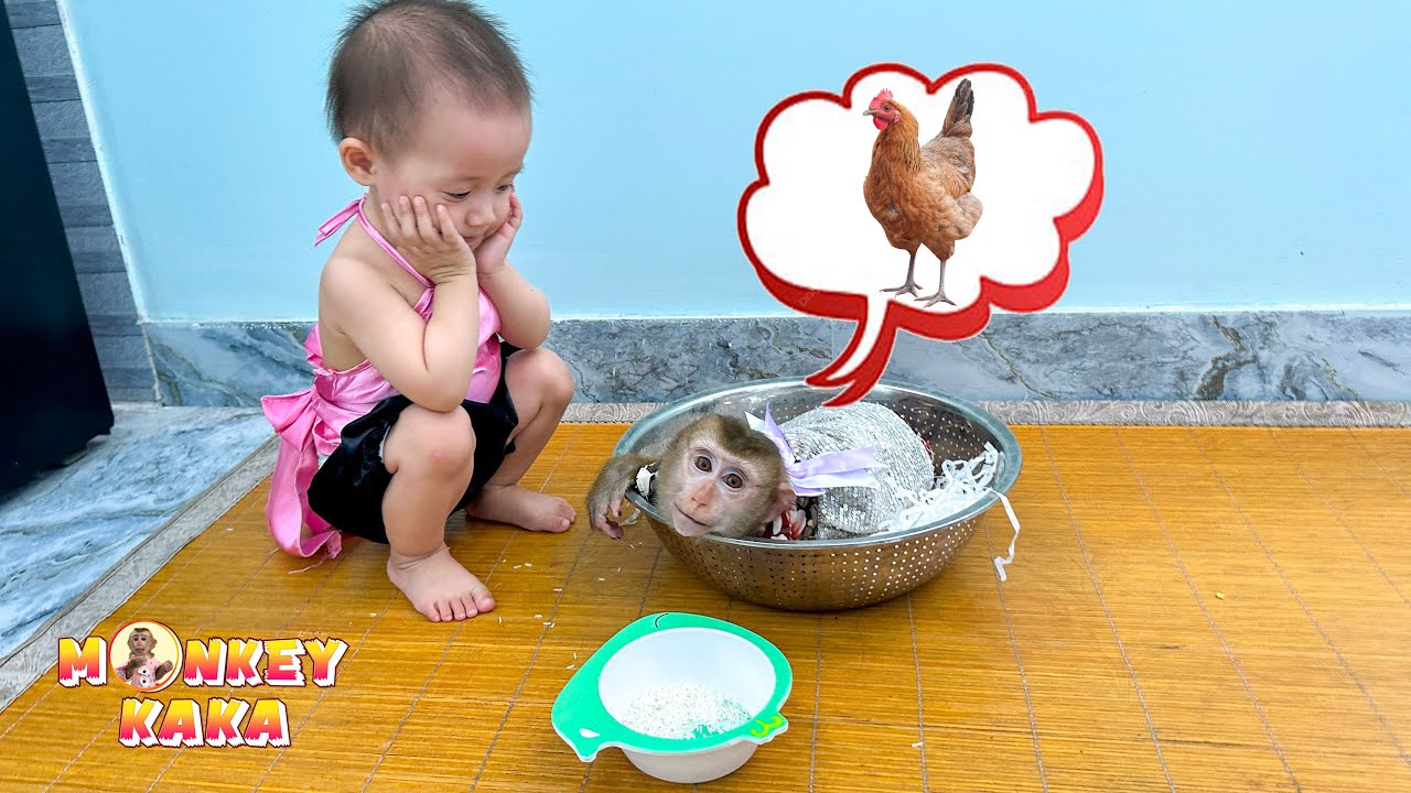 Diem cutely puts chin on hands and watches Monkey Kaka hatch eggs - YouTube