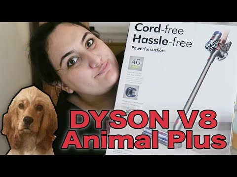3000 TL'lik EFSANE DYSON V8 Animal Plus'ı İNCELEDİM! 😮