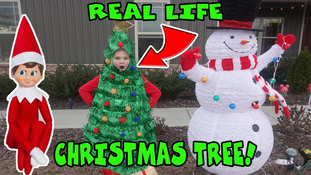 Real Life Christmas Tree For 24 Hours! Elf On The Shelf Challenge - YouTube