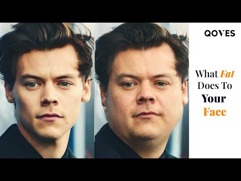 How Facial Fat Influences Your Looks | What Makes A Face Attractive?