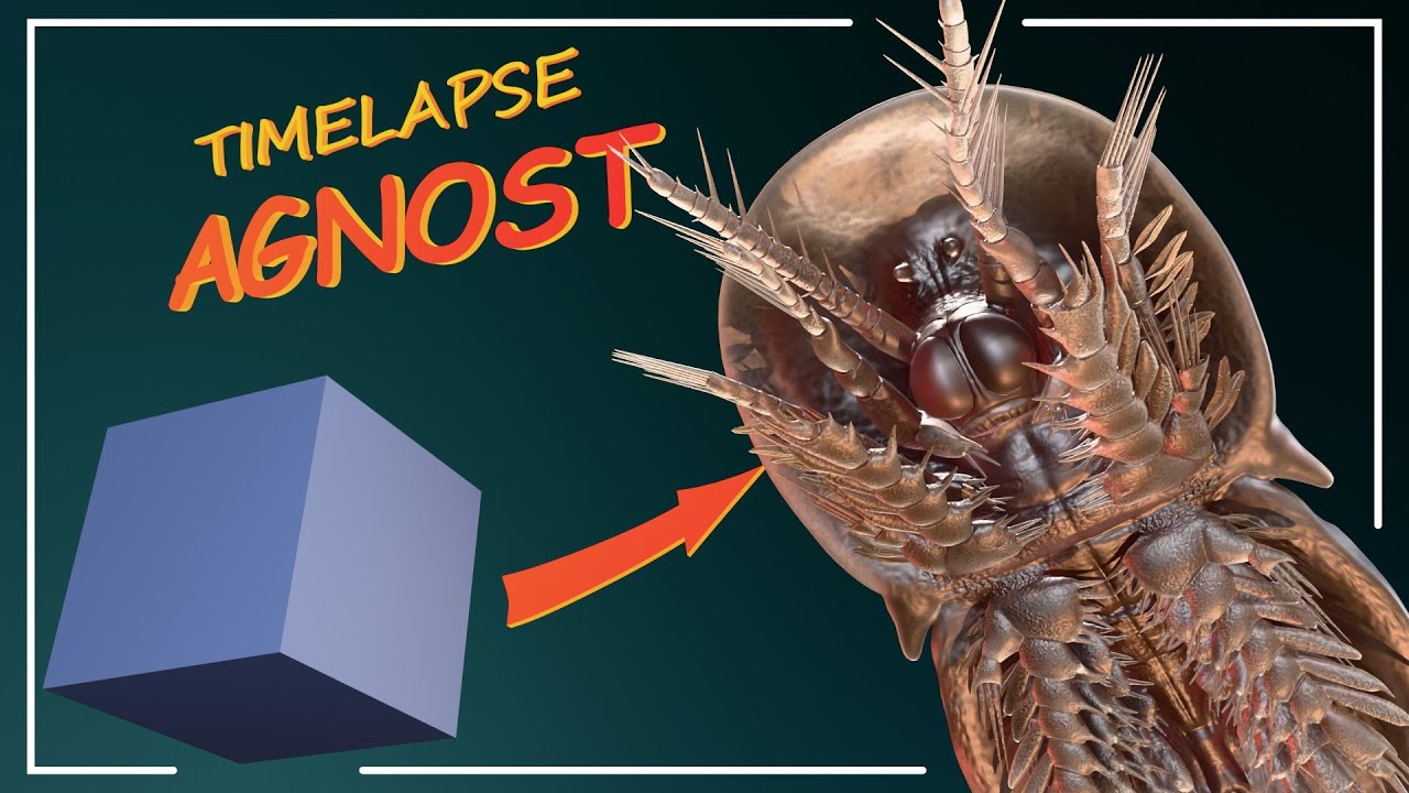 Timelapse of Agnost 3D Model Creation for the 3D Dinopedia App - YouTube