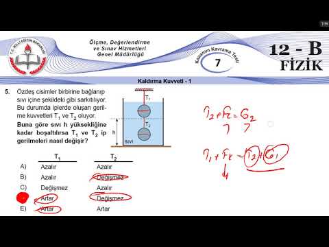 12B MEB Okul Kursu Fizik K.K.Testi 07 (Sıvıların Kaldırma Kuvveti-1)