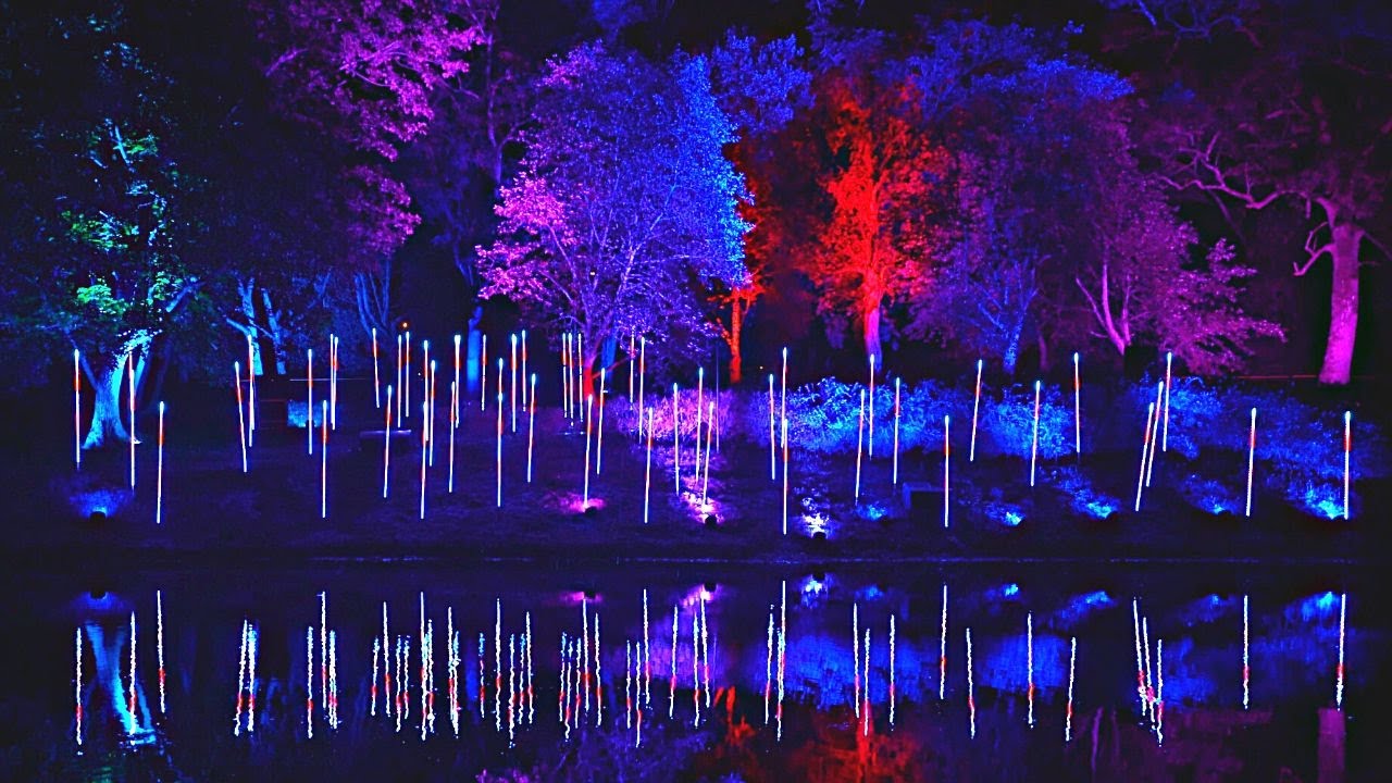 The First Light Show at Kadrioru Paistiik, The Wandering Lights ...