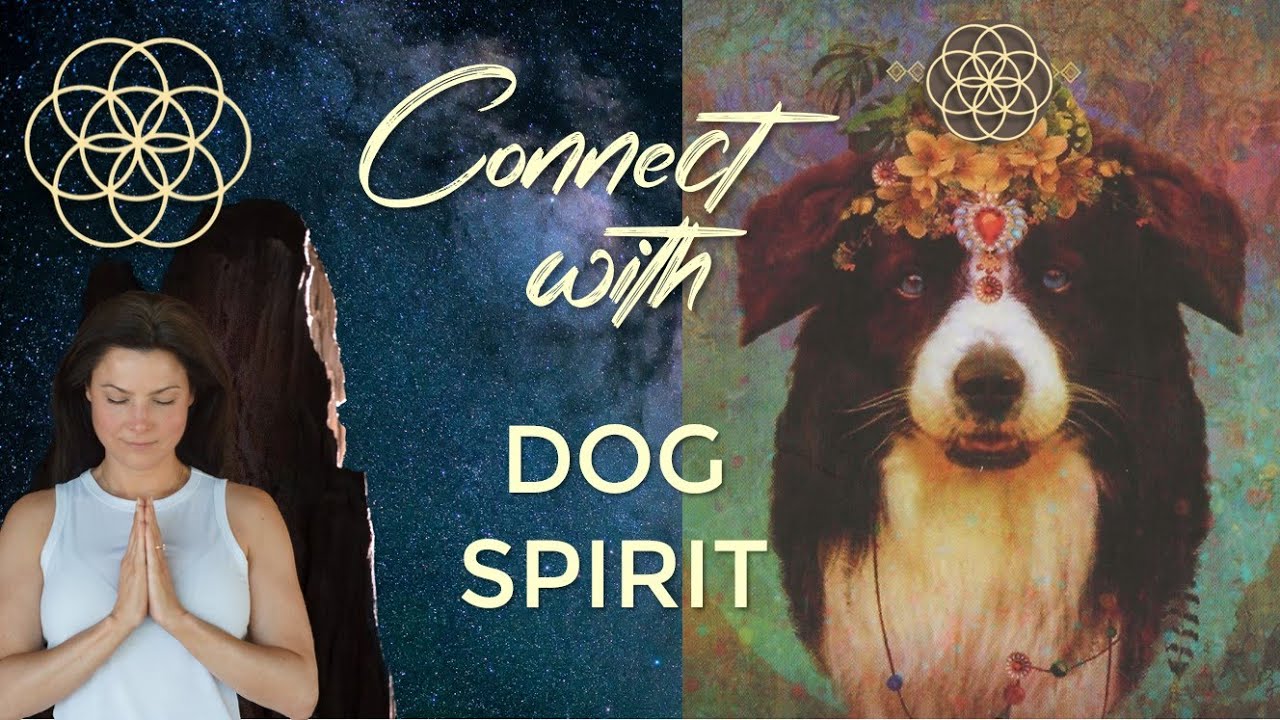 Dog Spirit Medicine Meditation | Connect with Loyalty, Protection ...