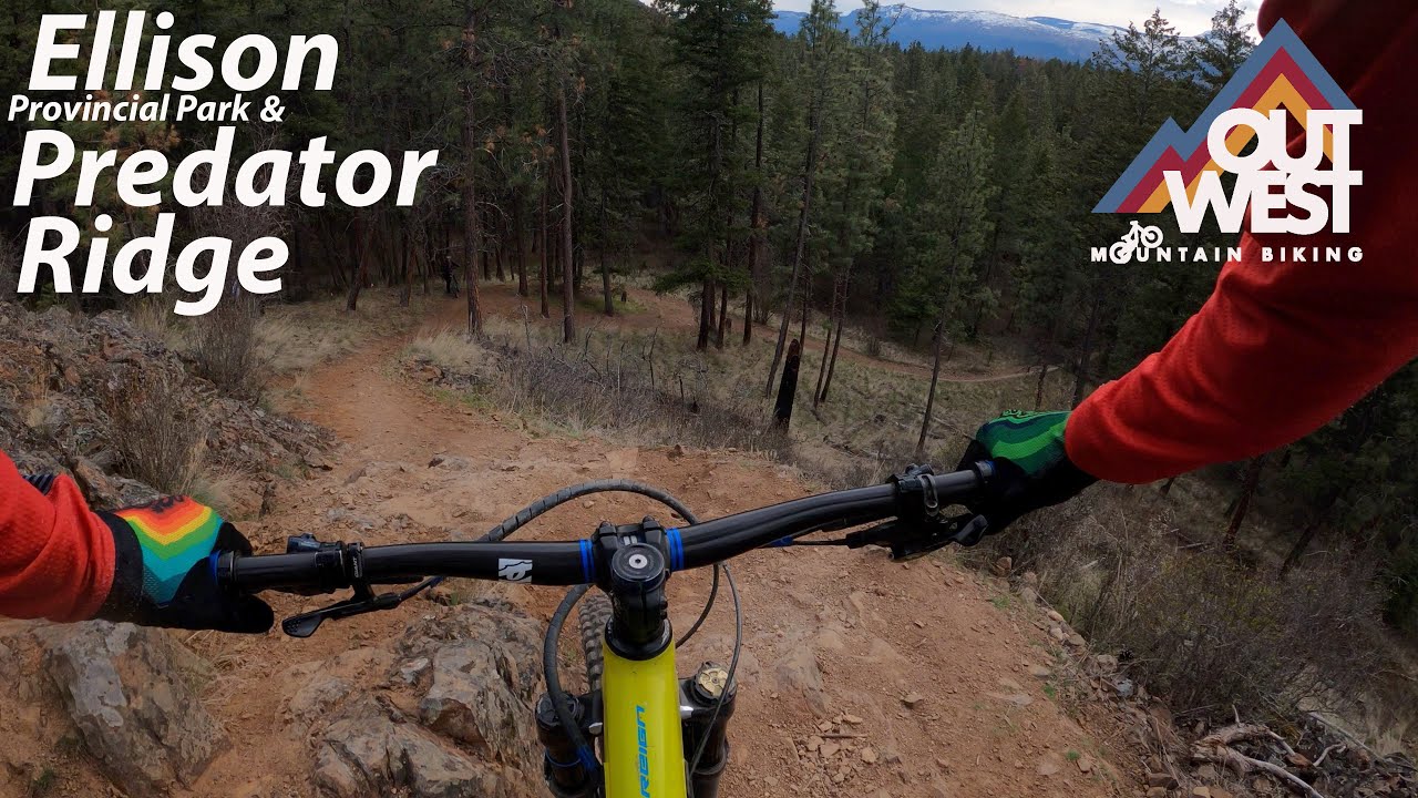 New Trails! || Mountain Biking Ellison and Predator Ridge Vernon BC ...