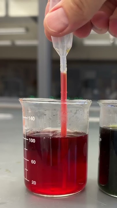 Poinsettia Leaf pH Indicator - YouTube