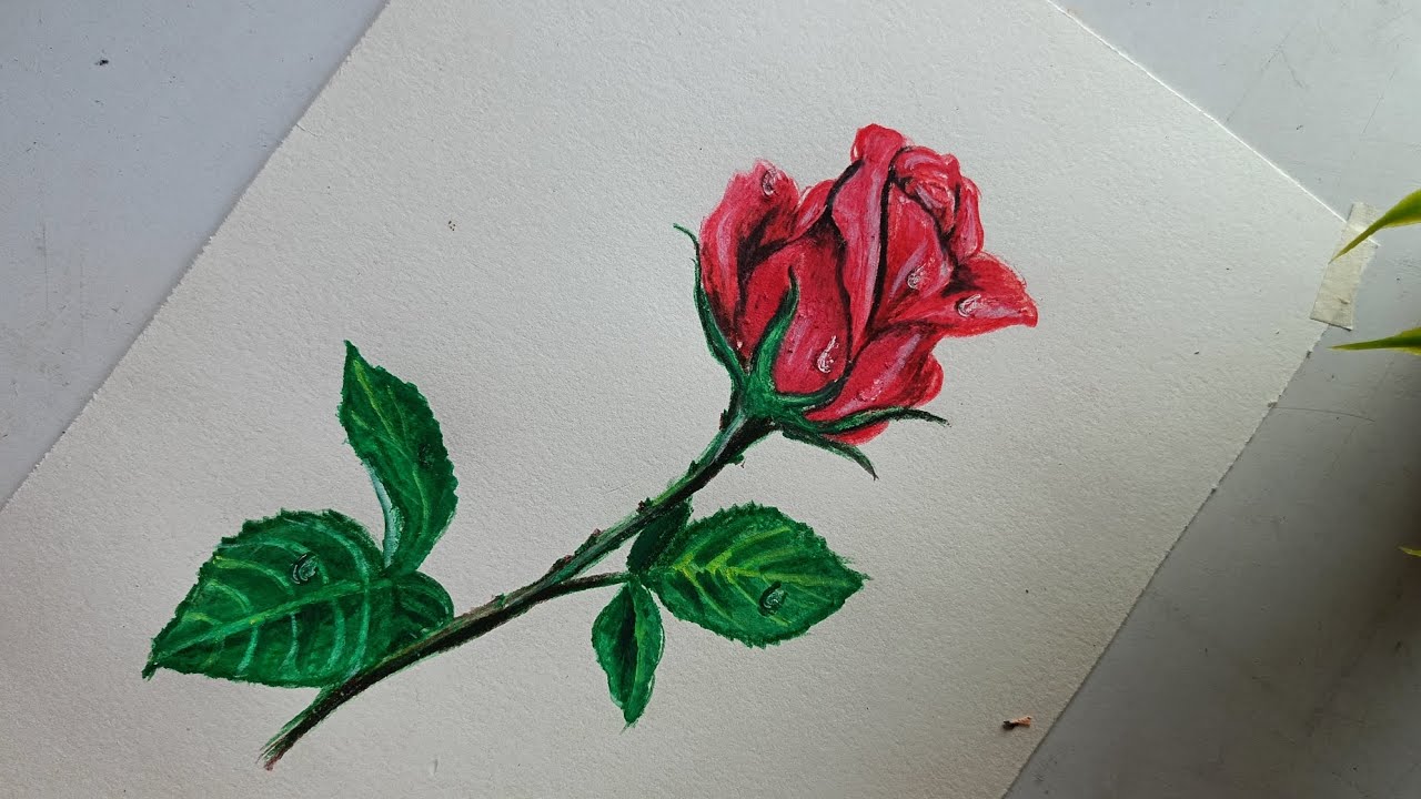 Simple Steps to Paint Beautiful Roses: Easy Tutorial - YouTube