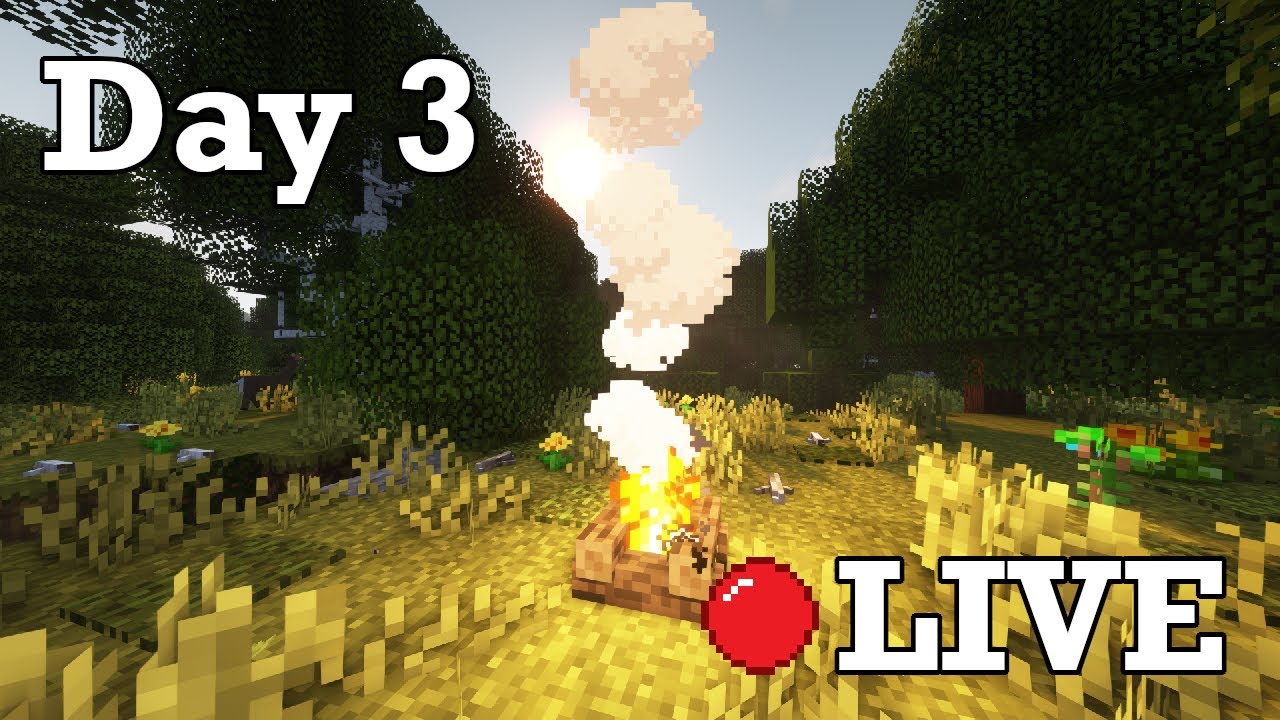 Surviving 365 Days in Realistic Minecraft (Day 3) [Live] - YouTube