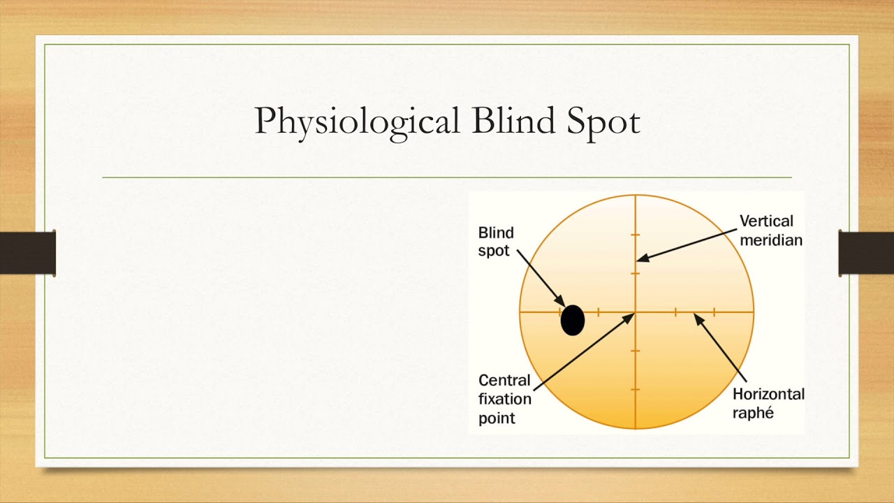 Visual Field Interpretation Part2 A - YouTube