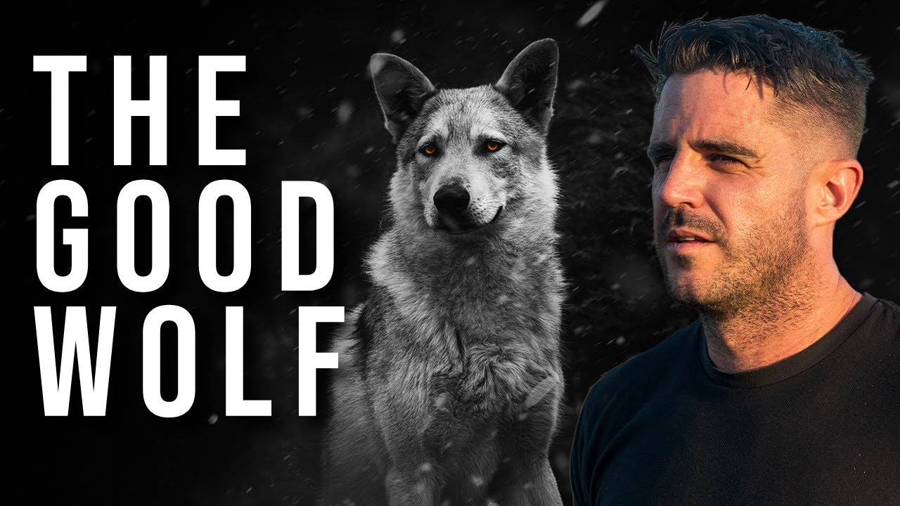 The Good Wolf - Motivational Video - YouTube Music