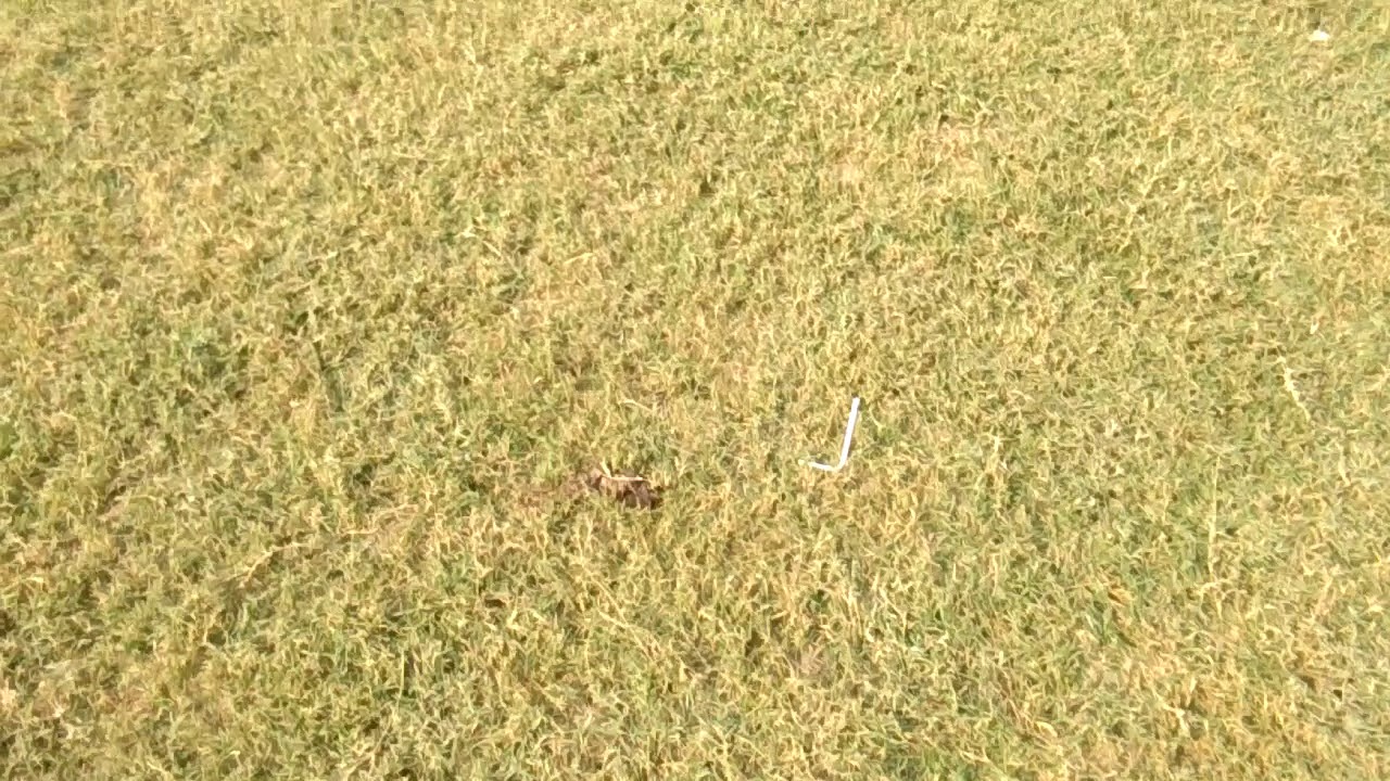 How to play a hook shot in cricket - YouTube