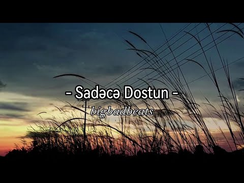 Nijat X Aliyev - Sadəcə Dostun ( Hissiz albomu )