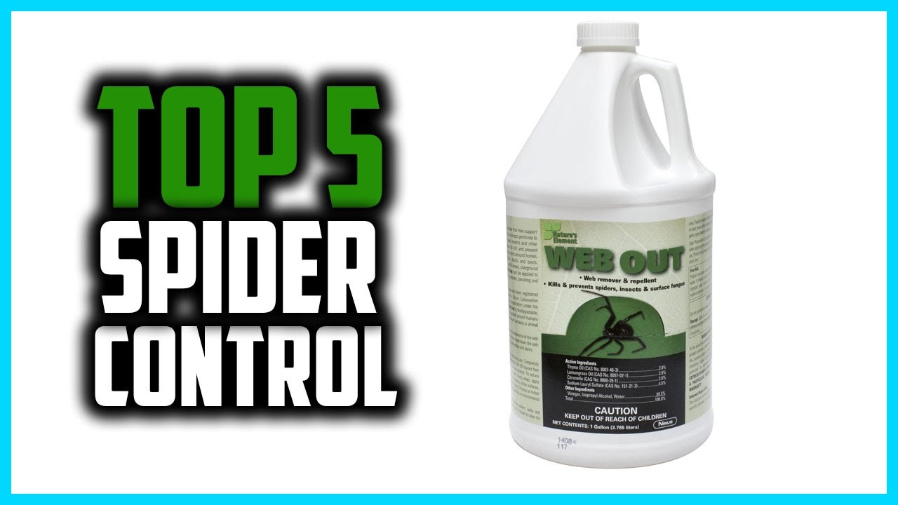 Top 5 Best Spider Control Products in 2026 - YouTube