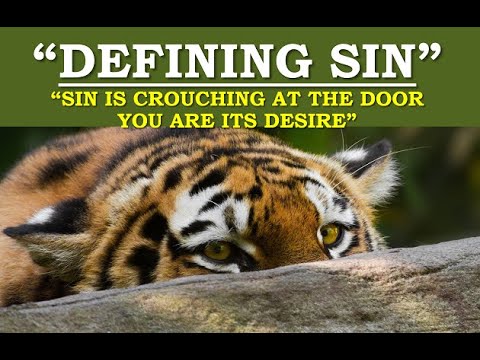 219 Ministries: Defining SIN - YouTube
