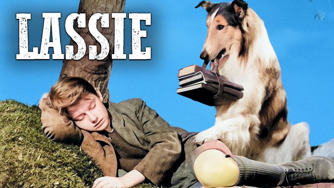 Lassie - Las colinas pintadas | Película clásica | Occidental - YouTube