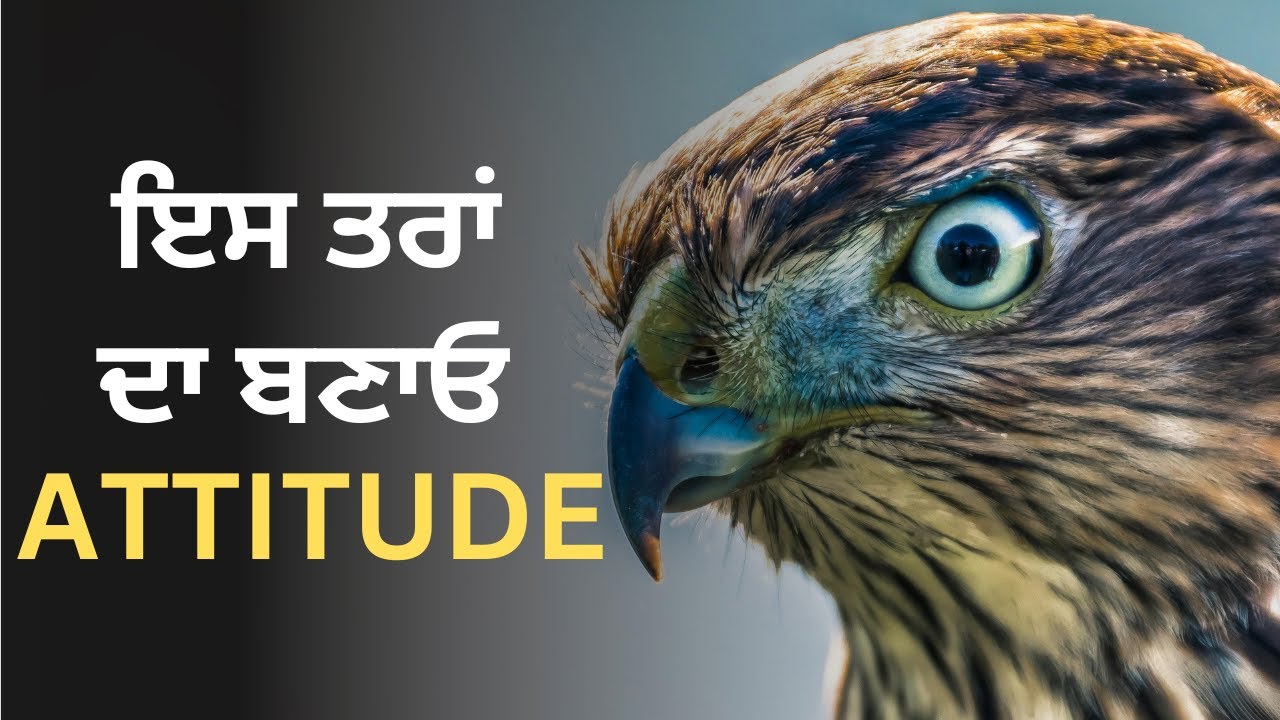 ਇਸ ਤਰਾਂ ਦਾ ਬਣਾਓ Attitude -THE HAWK MENTALITY || Best powerful ...