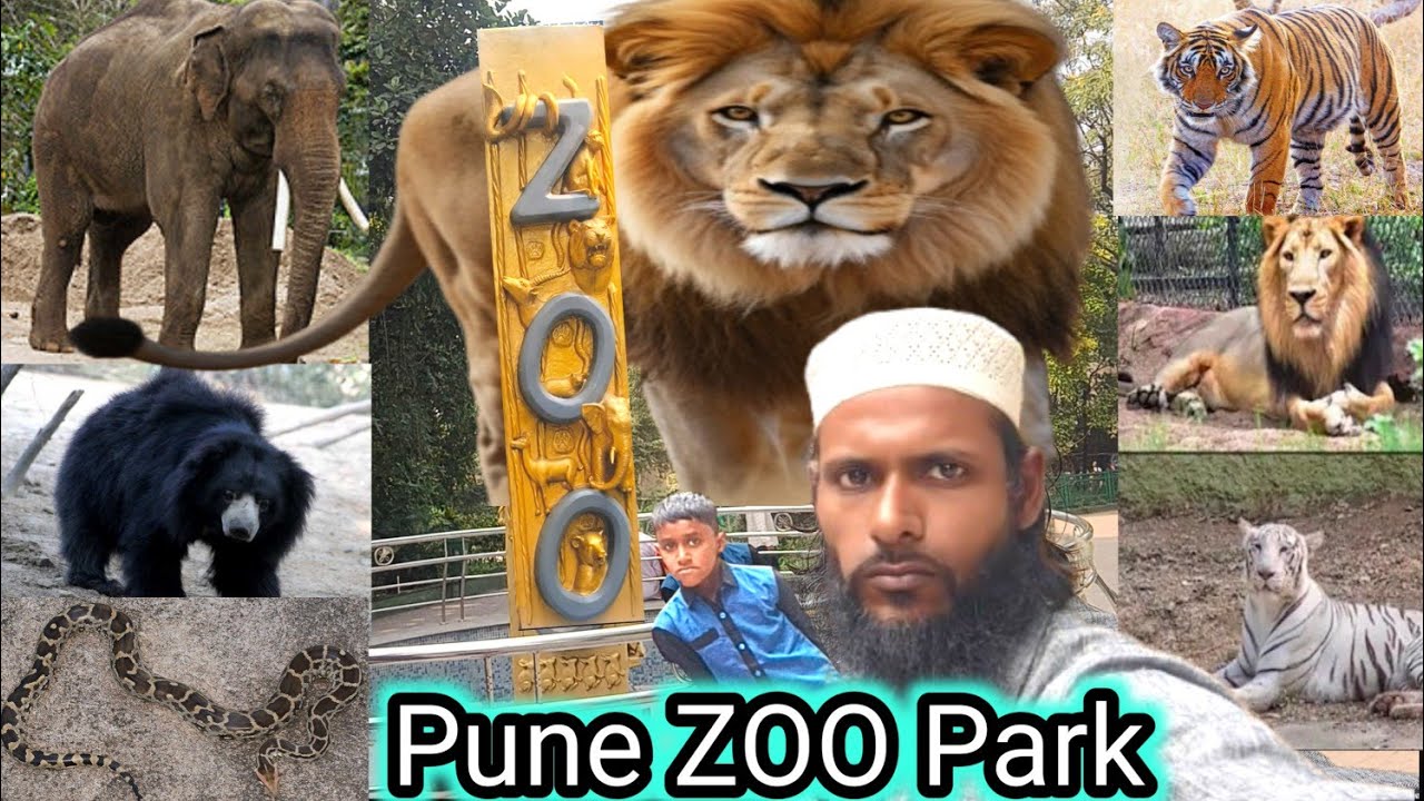 pune zoo Park full entertainment zoo full blog YS vlogs 11 November ...