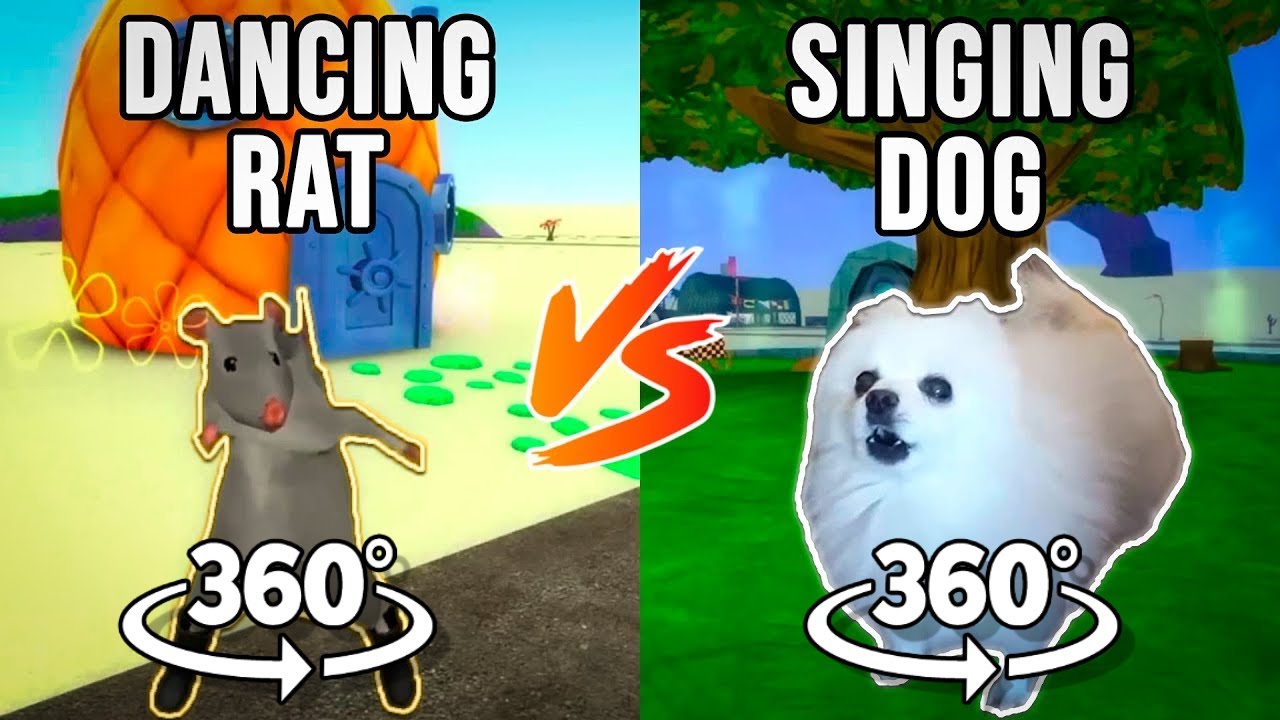 RAT DANCE vs SINGING DOGS 360° VR - YouTube