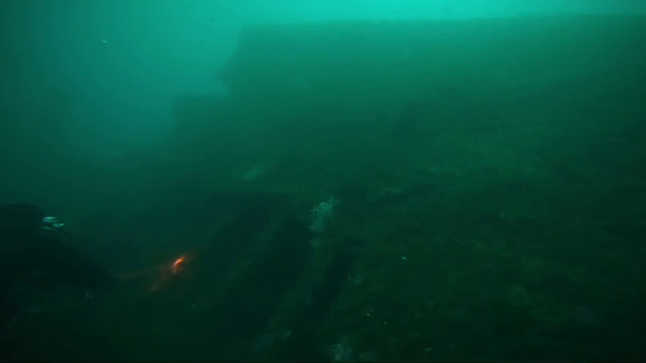 Diving the SS Excellent - YouTube