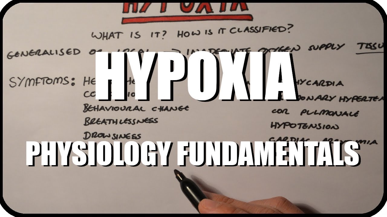 Hypoxia Pathophysiology - Explained Clearly - YouTube