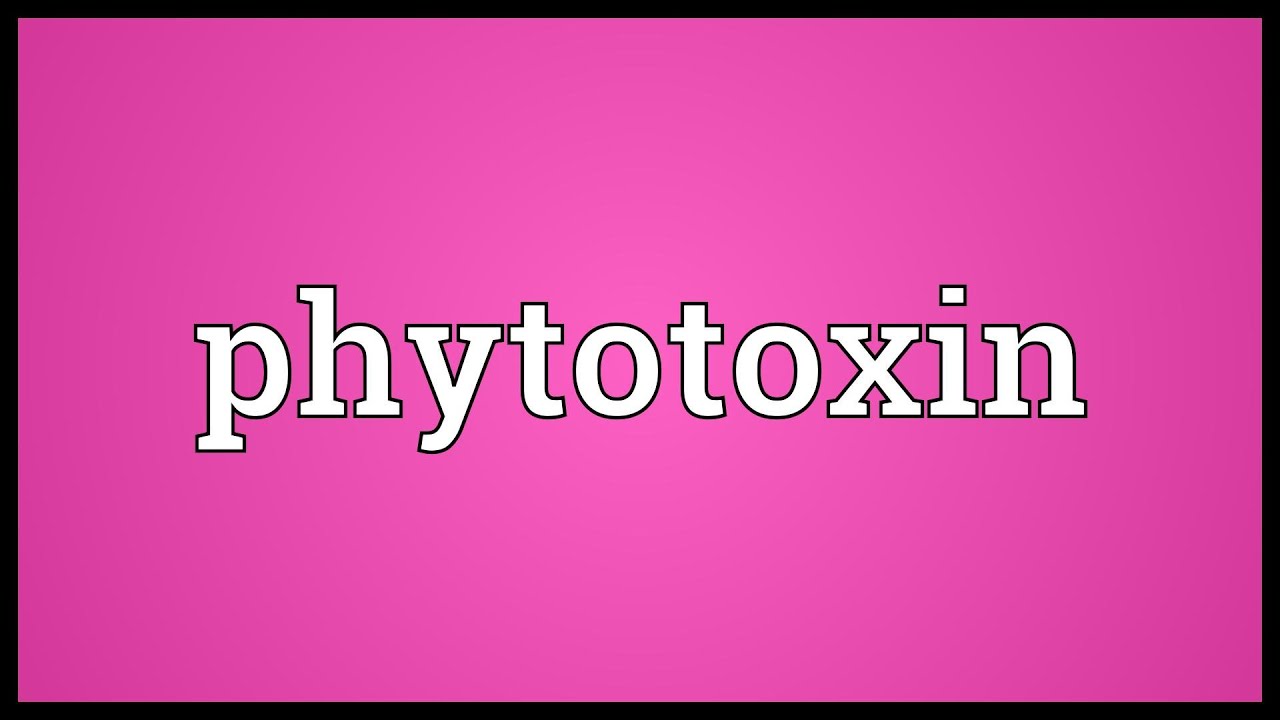 Phytotoxin Meaning - YouTube
