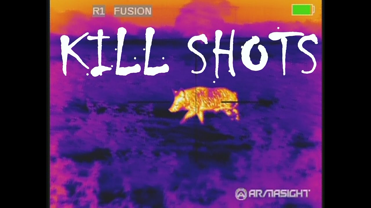 KILL SHOTS WITH CAVITY BACK BULLETS - YouTube