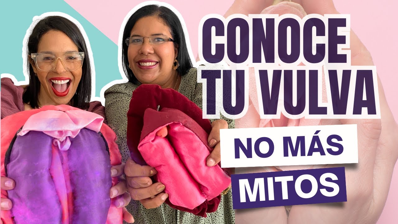 SECRETOS DE LA VULVA: Anatomía de a Vagina, placer y el misterioso ...
