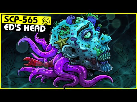 SCP-565 | Ed's Head (SCP Orientation) - YouTube