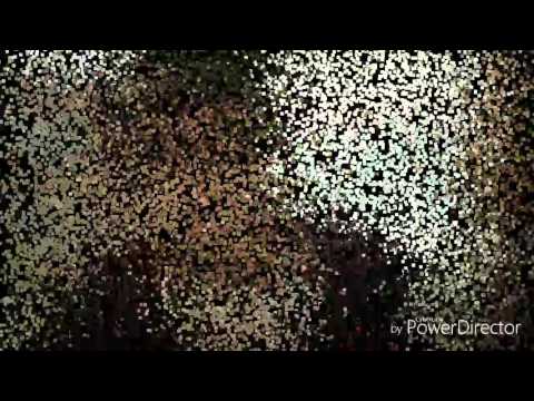 Bi dakika //pelin sinan