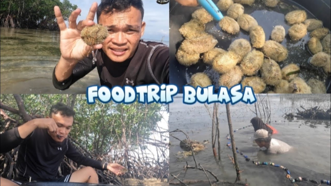 FOODTRIP BULASA|Moalboal Cebu - YouTube