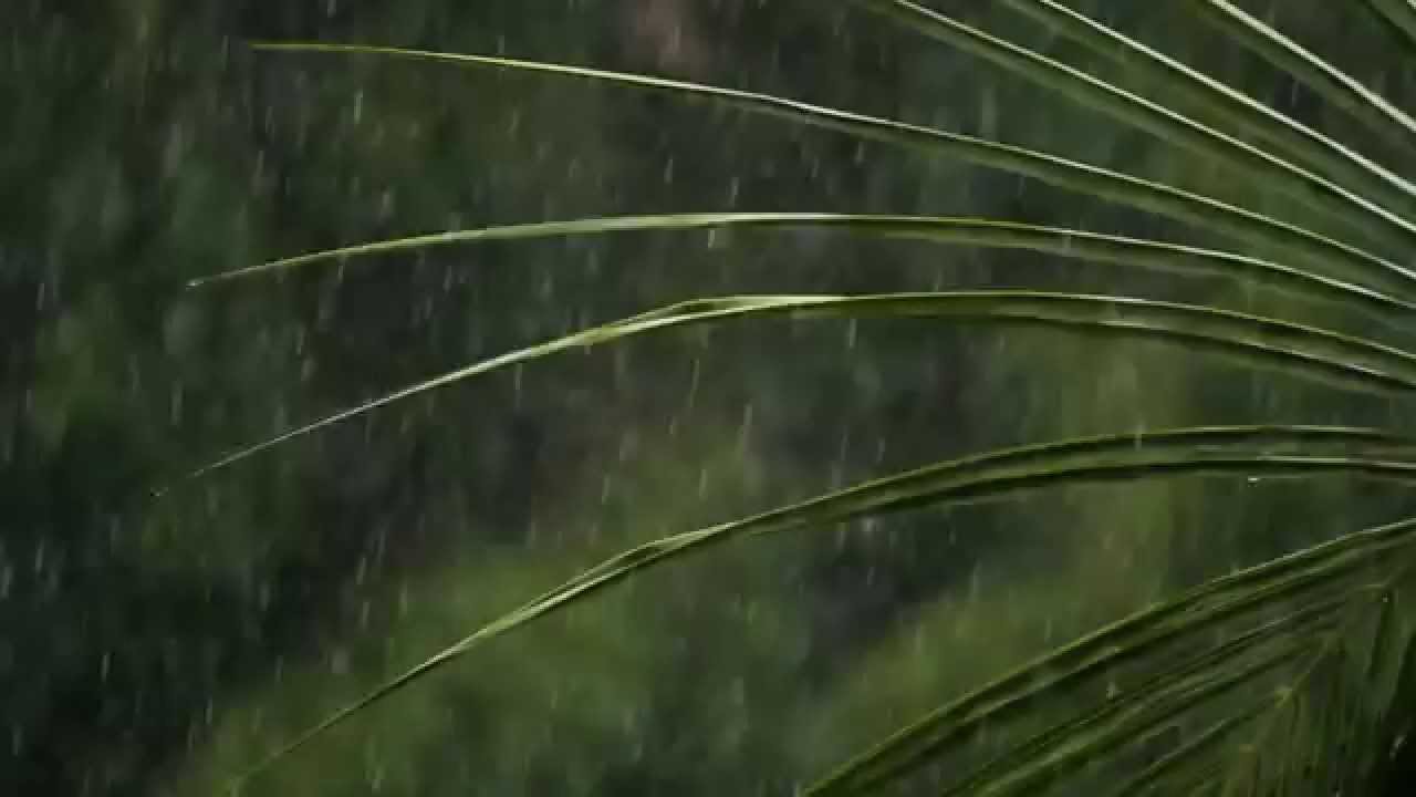 Rain in Slow Motion - YouTube