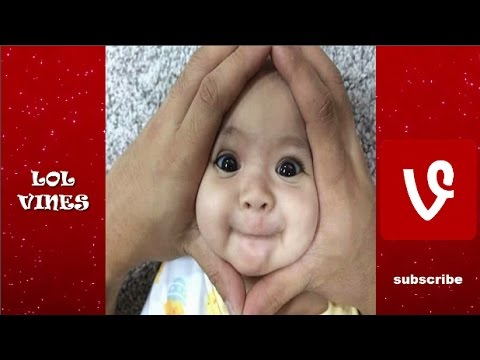 Funny Instagram Videos (w/Titles) 2017 Vine Compilation - LOL Vines✔