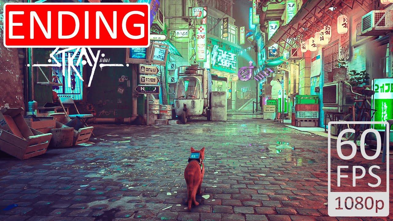 STRAY PC Gameplay Walkthrough Ending [1080p/60FPS] - No Commentary ...