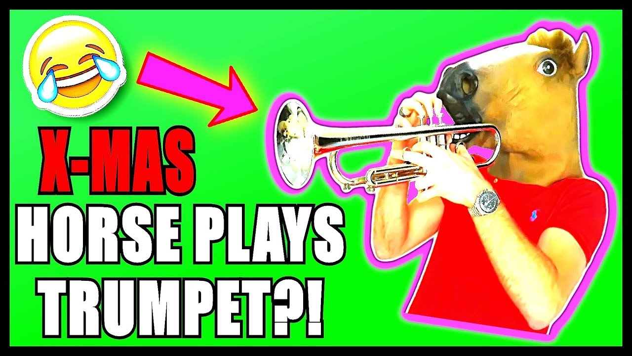 TRUMPET FUNNY SLEIGH RIDE HORSE WHINNY (**22 BEST**) - YouTube