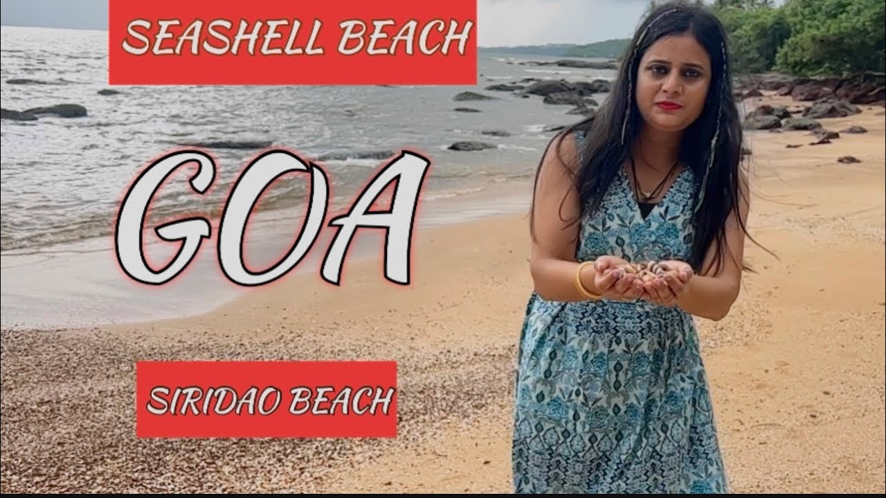 Goa Seashells Beach 🐚 |2023 |Siridao Beach #goavlog #goa #goabeach # ...