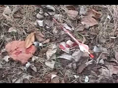 Deer Bow kill with Firenock from a Double Bull Matrix blind. Self ...