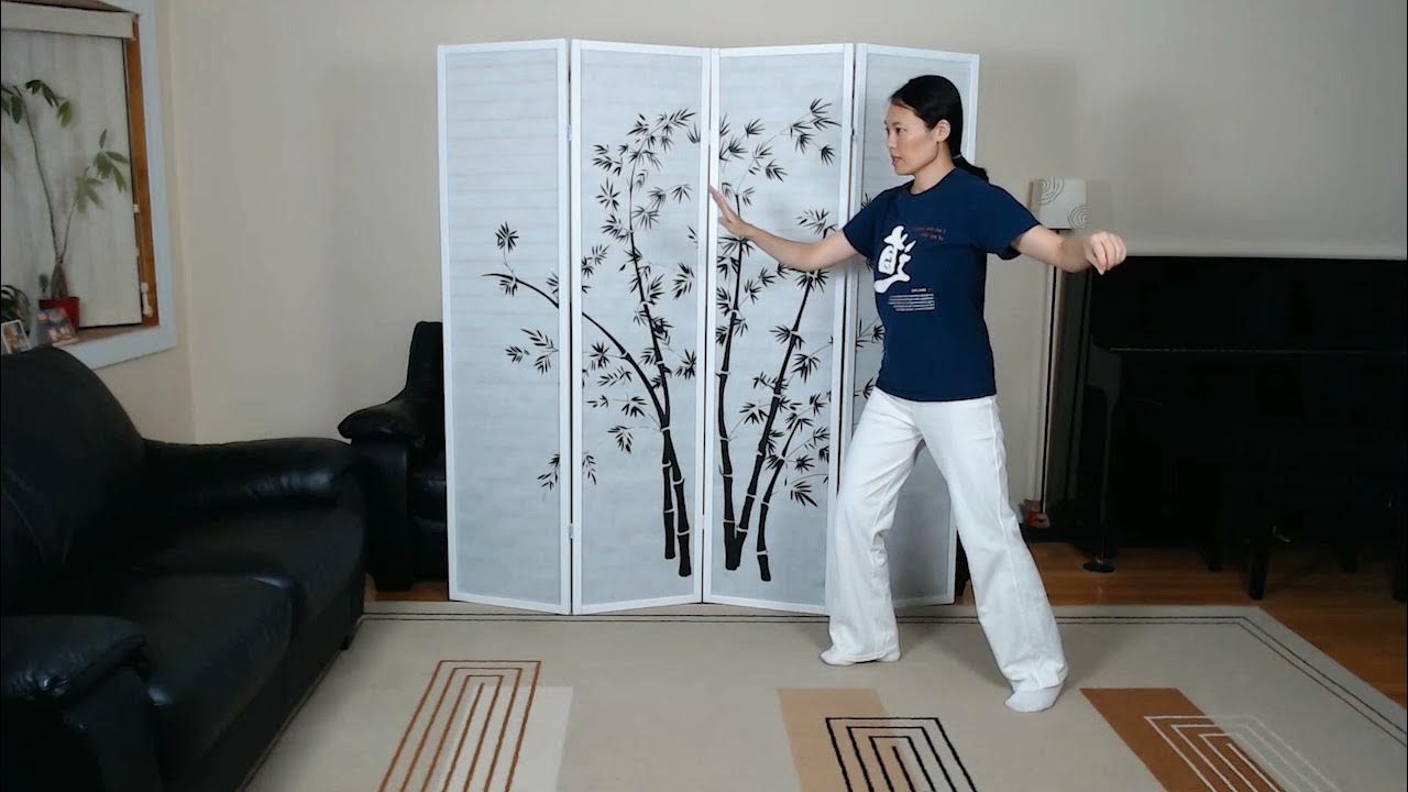 Tai Chi Yang Style 37 Form - First 21 Movements Mirror Image - YouTube