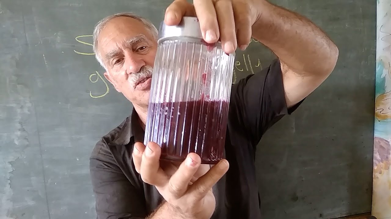 How to separate seeds from grapes or berries to make delicious, seed ...
