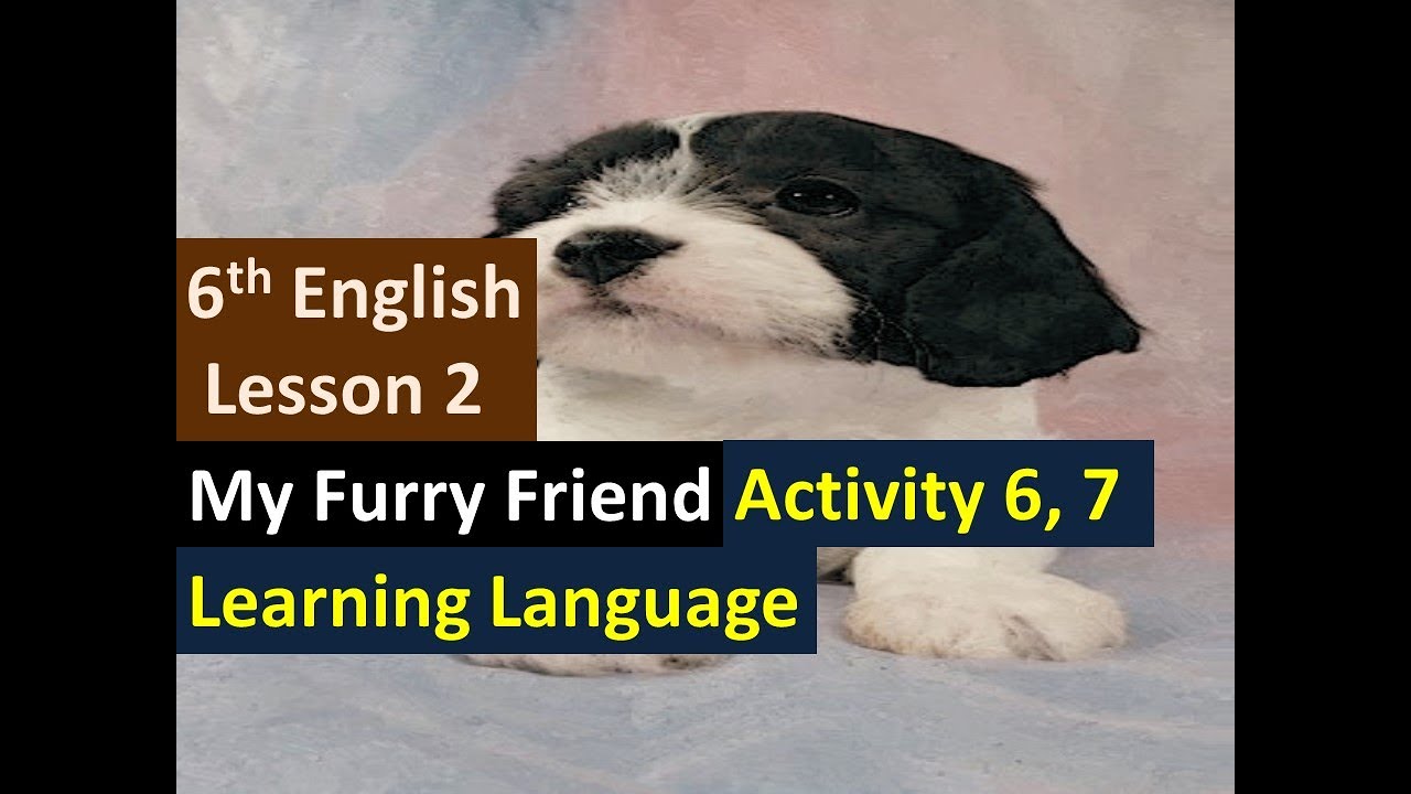 6th English Lesson 2 My Furry Friend Activity 6, 7 - YouTube