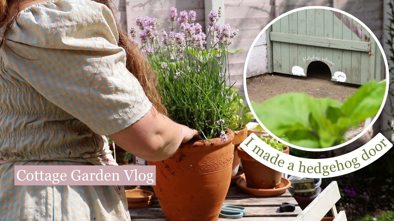 I made a new hedgehog door! Weekly cottage garden vlog - YouTube