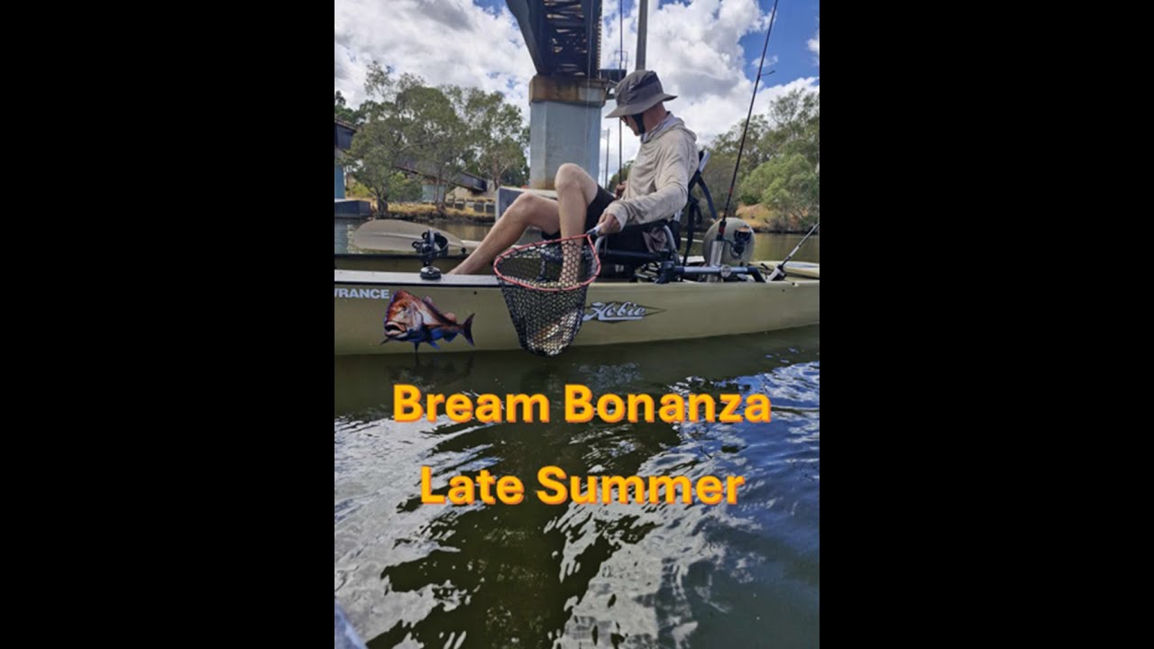 Bream Bonanza So Many Fish #fishingaustralia - YouTube