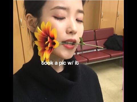 Nayeon gives IU a flower for Valentine's Day🌻❤️