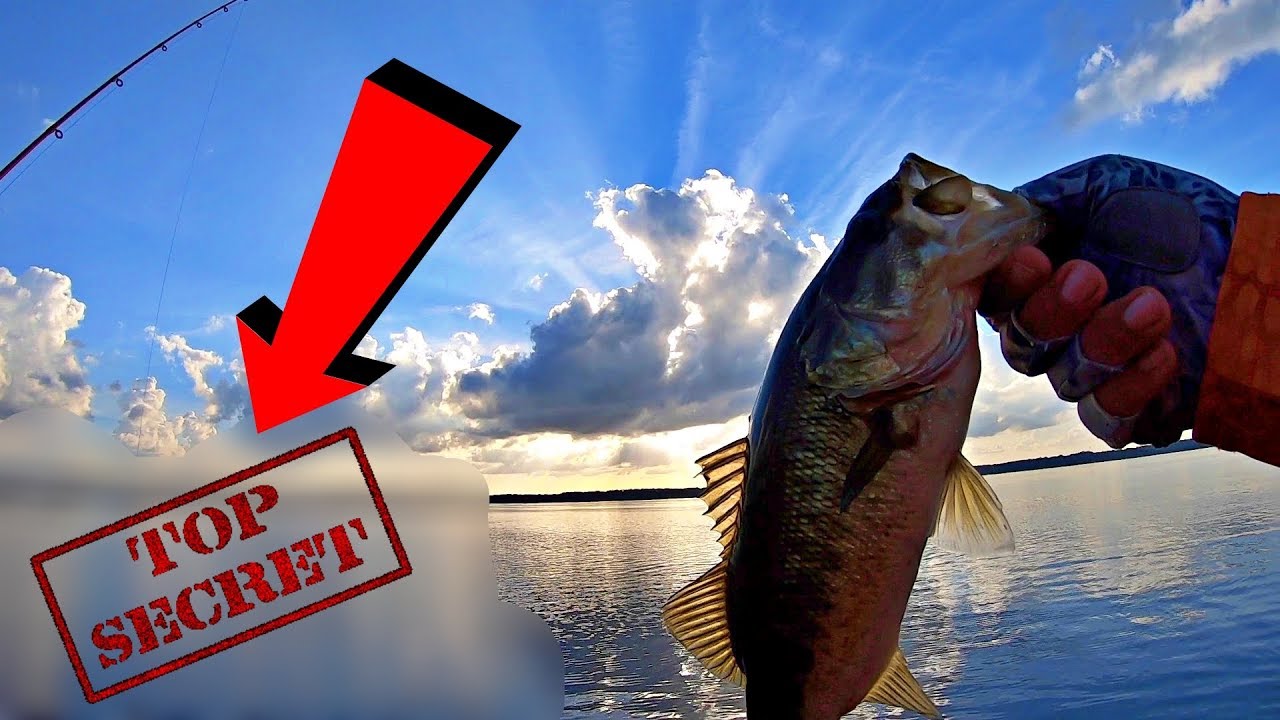 TOP 3 SECRET Fishing Hot Spots Where NO ONE LOOKS! - YouTube